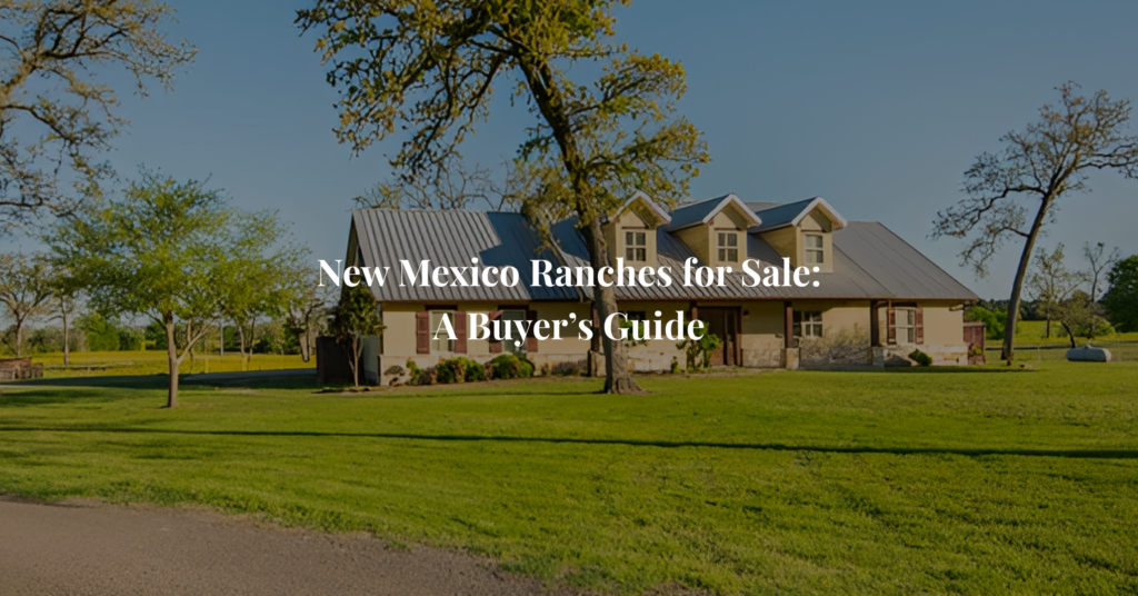 New Mexico Ranches for Sale: A Buyer's Guide