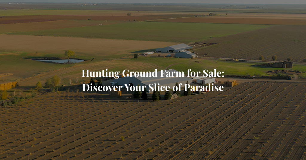 Hunting Ground Farm for Sale: Discover Your Slice of Paradise