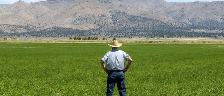 Everything You Need to Know About Hobby Farming