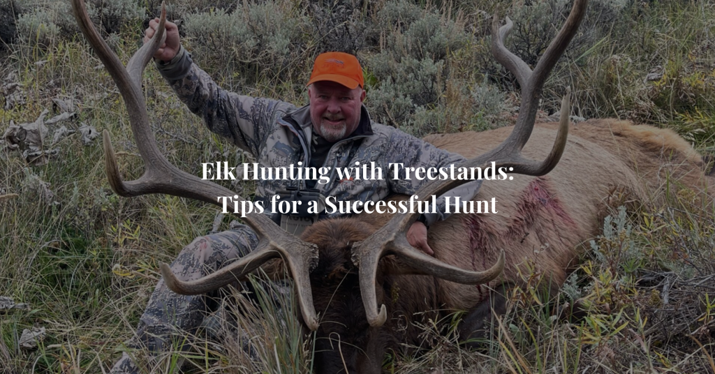 Elk Hunting Tips, Gear & Best Locations in the USA