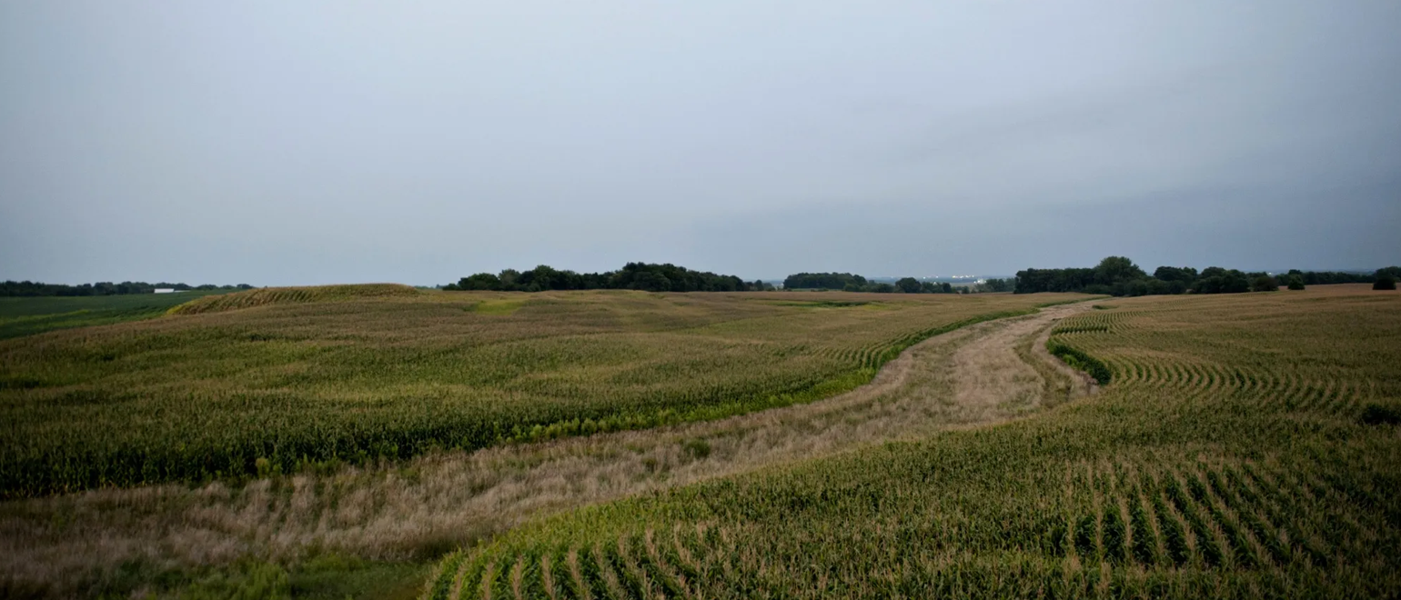 Cheapest Places to Buy Land in the USA – 2025 Guide