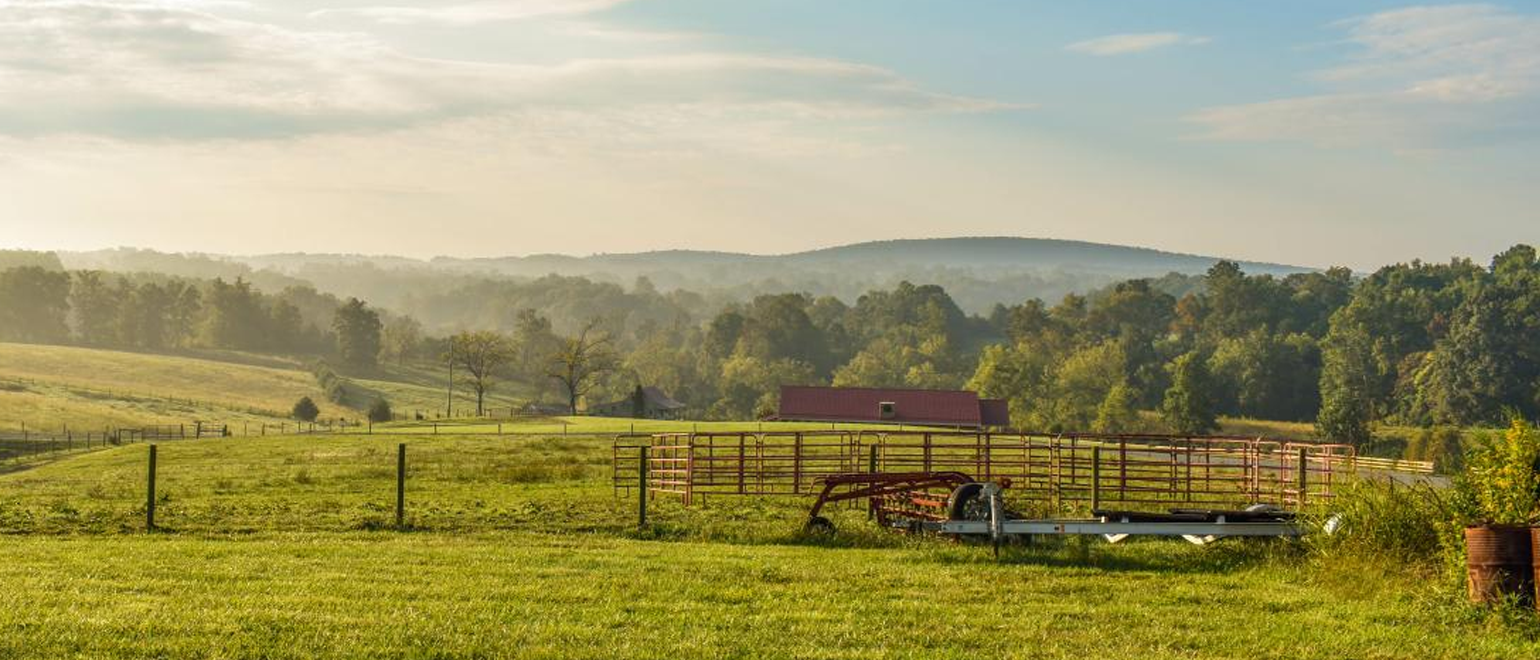 Top NRCS Programs for Landowners: Conservation Solutions That Work