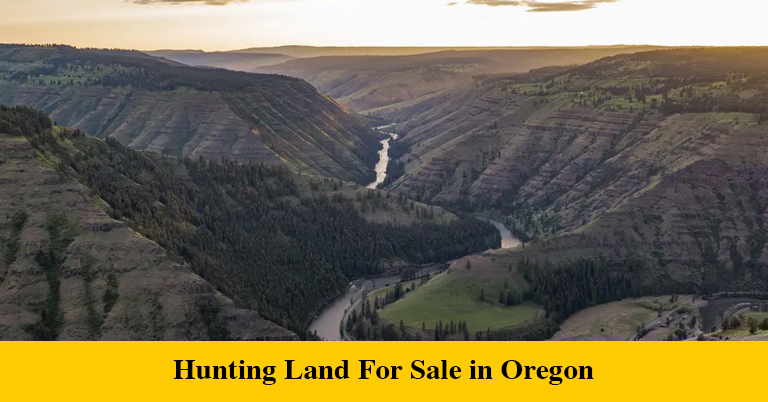 Land Farm and Ranches For Sale