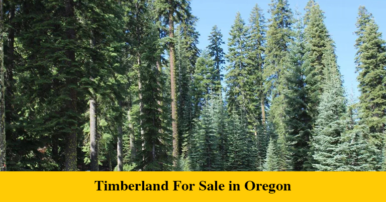 Land Farm and Ranches For Sale